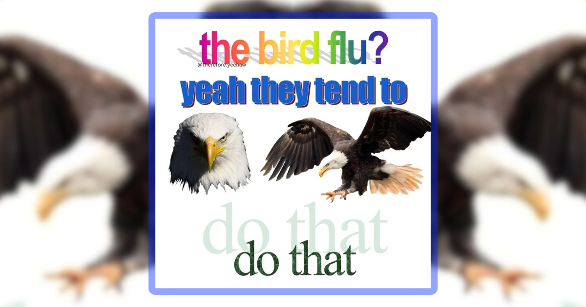 20 Bird Funnies to Fluff Up Your Funny Feathers for Winter - Animal ...