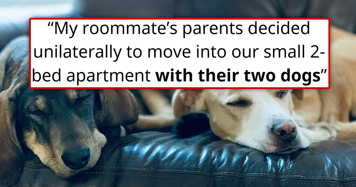 Roommate moves in his wealthy parents and their 2 dogs into his 800 sq ...
