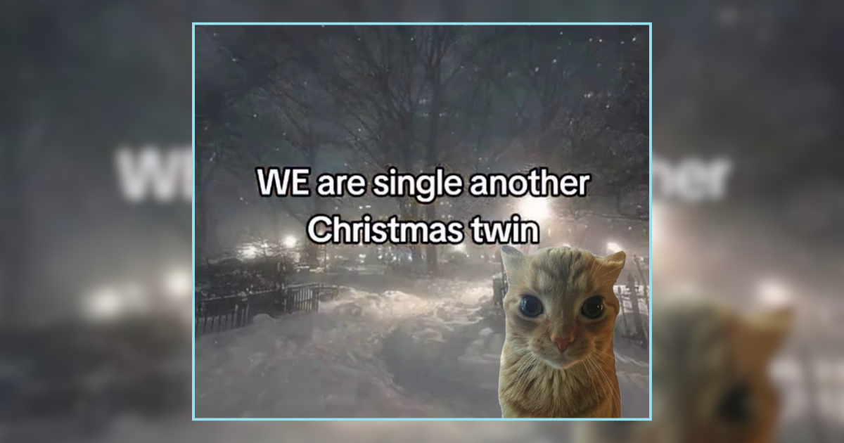 A Snowy, Dozy, Cozy Blend of Cat Memes For Soothing Winter Silent ...