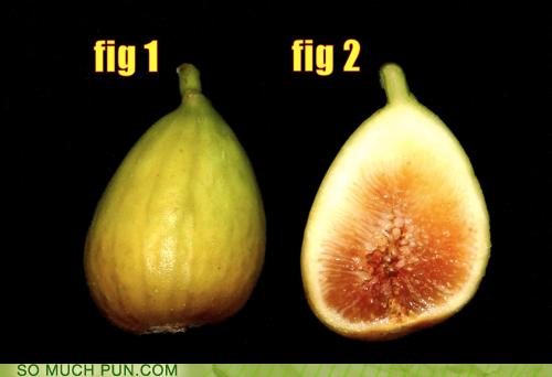Puns - figs - Funny Puns - Pun Pictures - Cheezburger