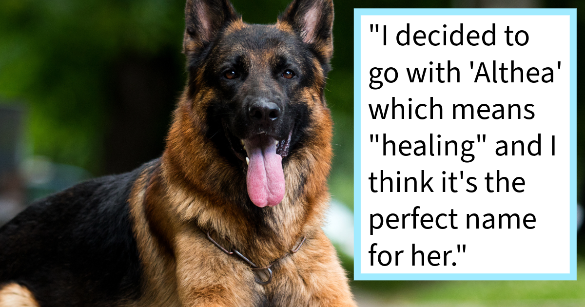 Dog mom’s angry reaction to husband adopting pup just weeks after ...