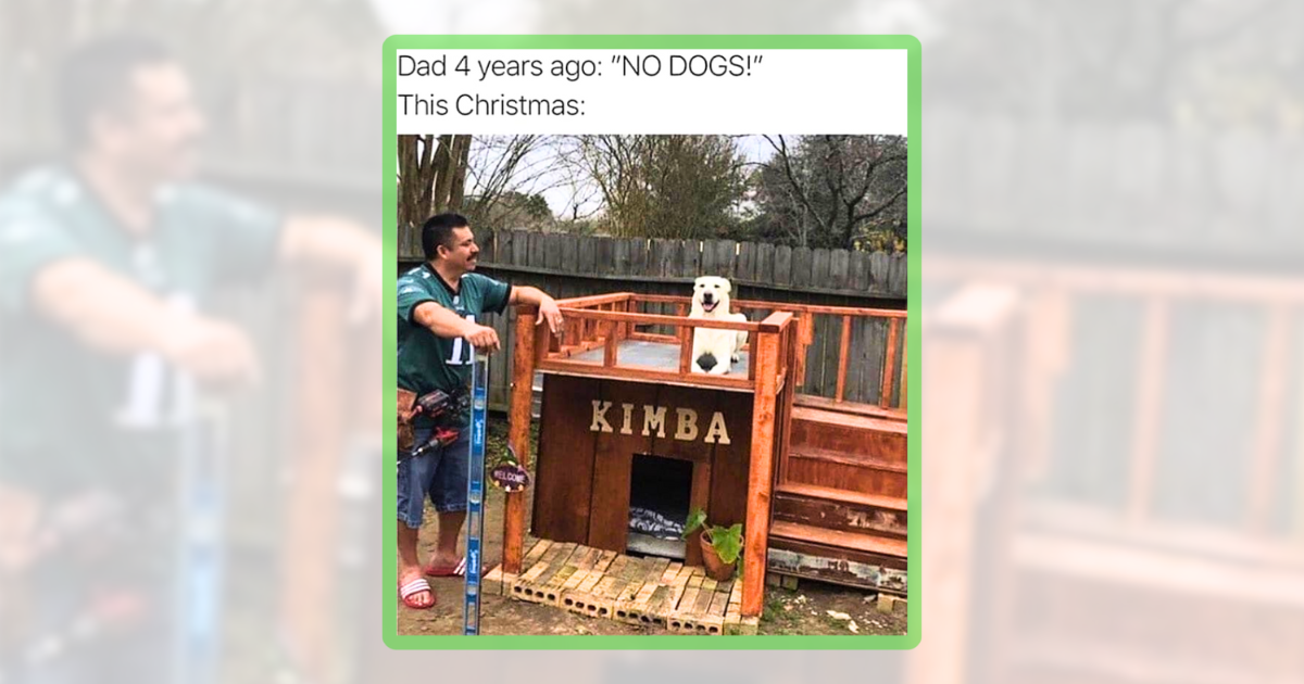 A Fluffy Flurry of 23 Delightful Dog Memes for Pawrents Seeking Cozy ...