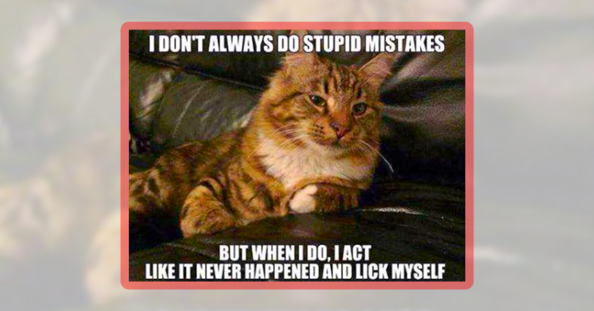 27 Feline Funnies Featuring the Cattest of Cats Being Unapologetically ...