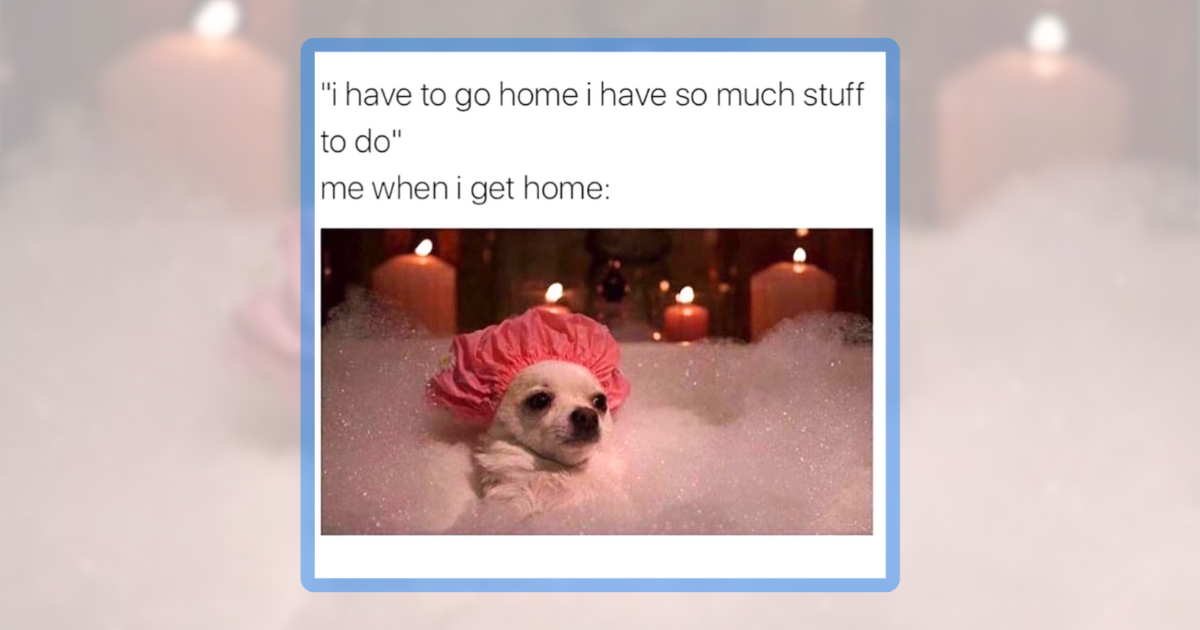 22 Cozy Dog Memes to Doze Off With to Wintery Dreamland - Animal Comedy ...