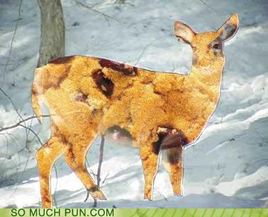 Puns - dough - Funny Puns - Pun Pictures - Cheezburger