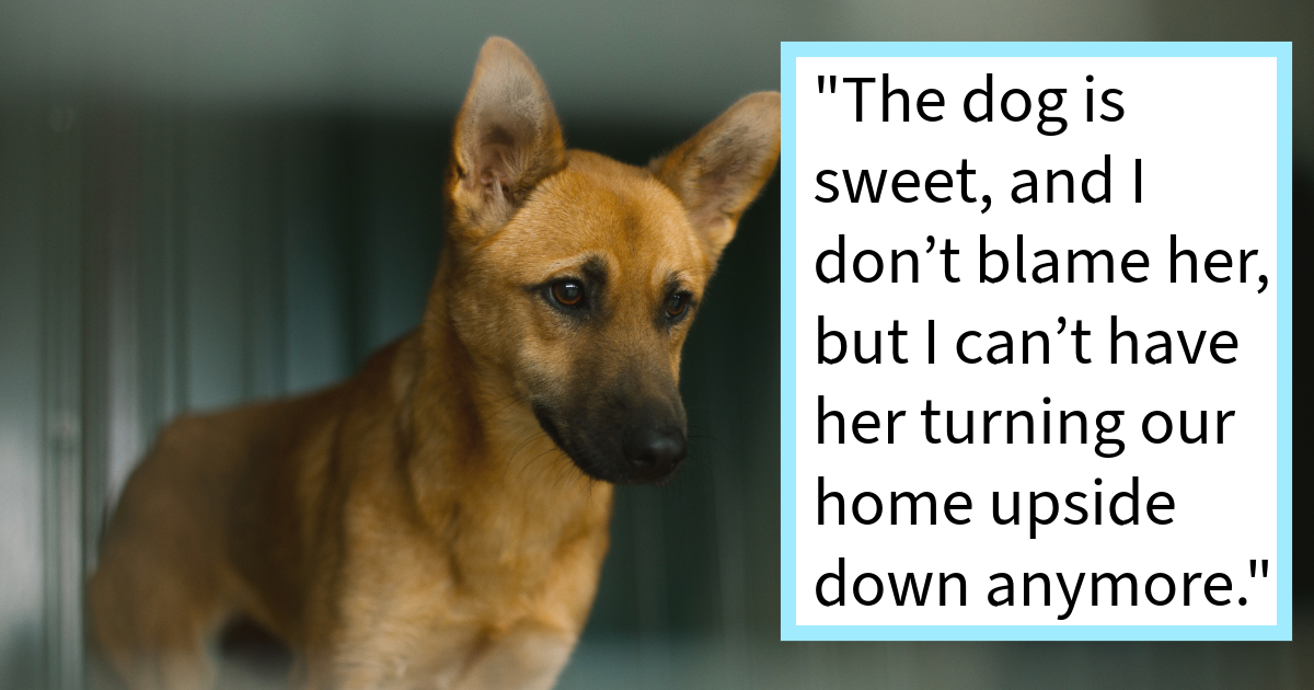 ‘My animal loving fiancee and sister will not allow me to drop the dog at a shelter as she’s old ...