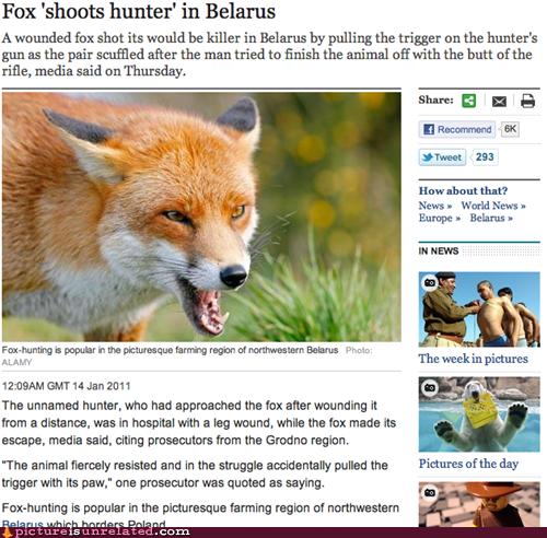 Picture Is Unrelated - Funny Picture | Funny Video | WTF | WTF Pics