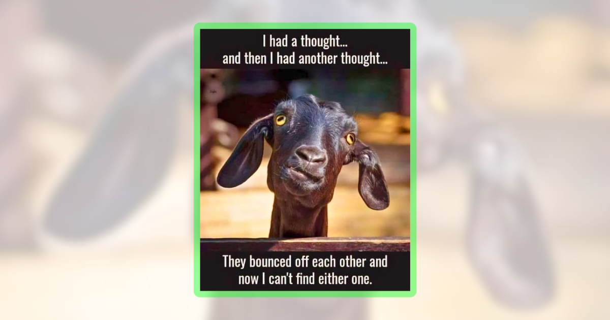 30 Farm Animal Funnies for Hardworking Hoomans Who Need to Neigh a ...