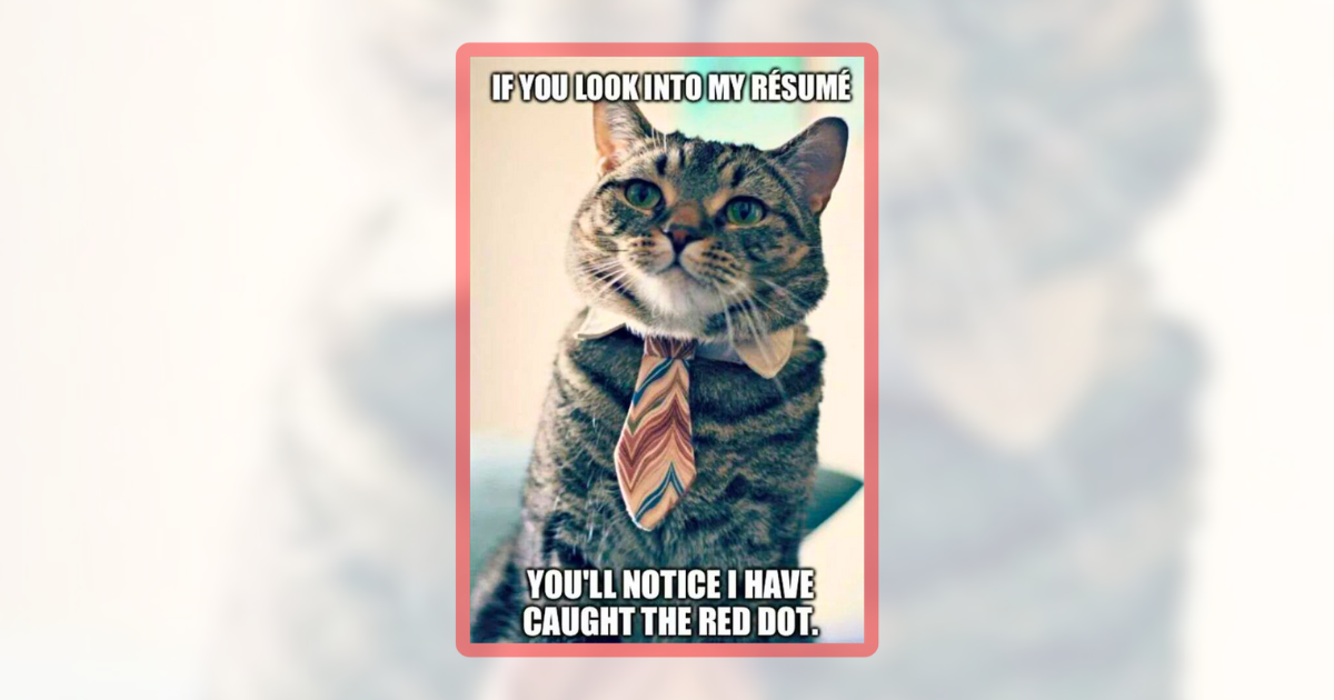 Caturday Medley: 20+ Most Meowrvelous Weekly Cat Memes Collected by ...