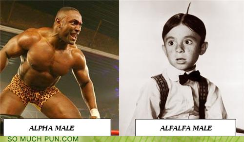 Puns - male - Funny Puns - Pun Pictures - Cheezburger