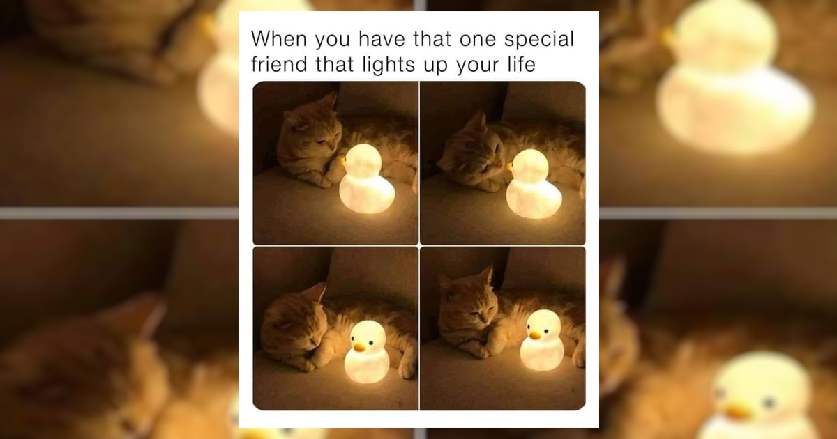 The Best Heartwarmingly Wholesome Memes and Posts of the Week ...