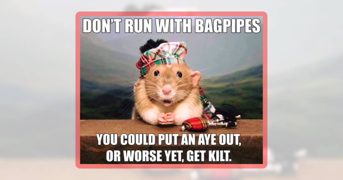 A Snuggly Scoop of 23 Animal Memes to Melt Away Your Winter Blues ...