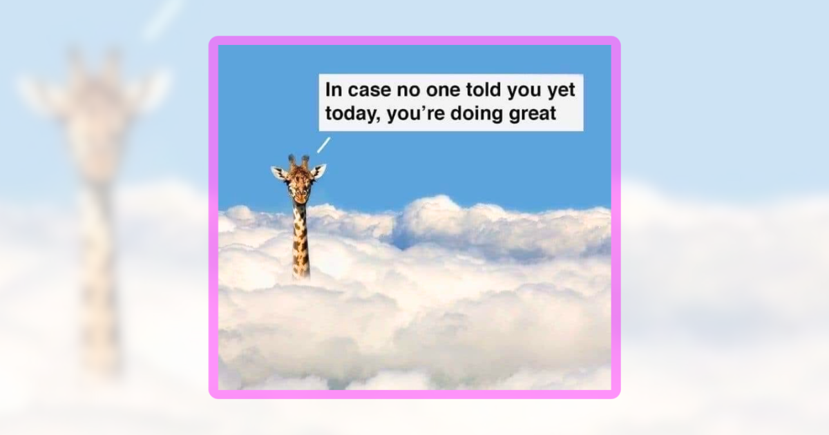 24 Uplifting Animal Memes to Pawse and Reflect on Today - Animal Comedy ...