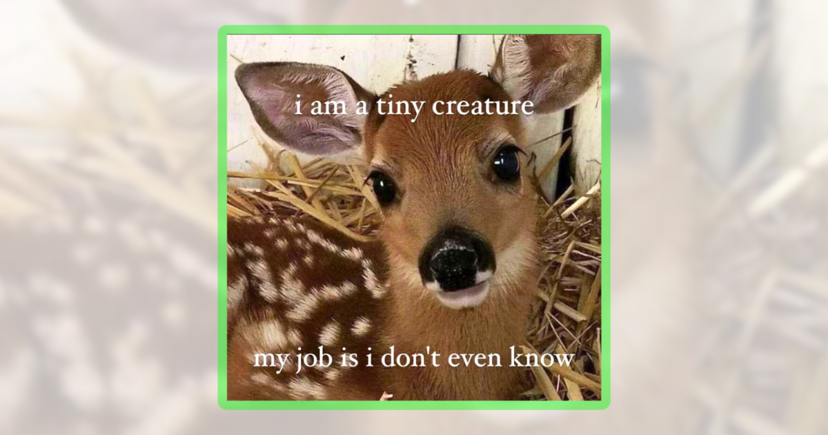 20 Deerlightful Deer Memes to Fill Your Day With Woodland Wholesomeness ...
