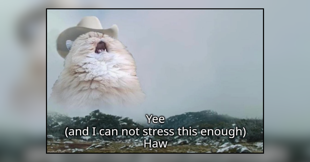 23 Rowdy Memes of Rootin’-Tootin’ Cats Causing Trouble Across the Wild ...