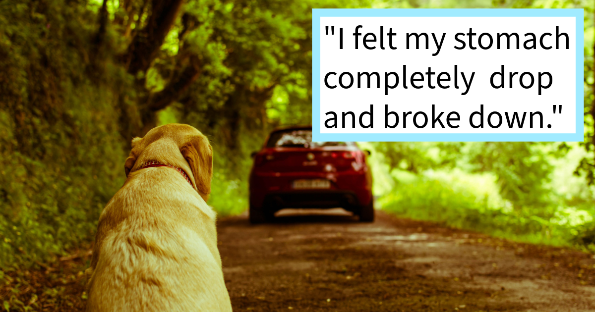 Courageous couple who rescued a stray puppy from an LA intersection ...