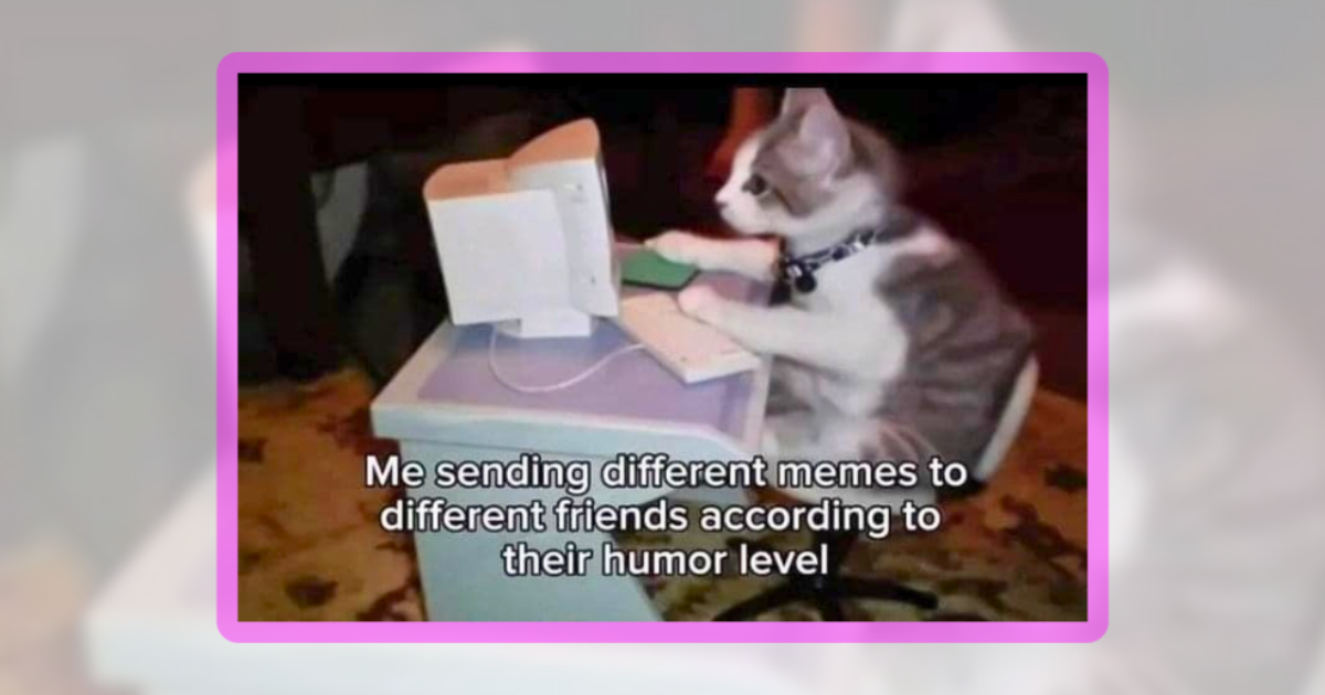 22 Feline Funnies Featuring Meowing Memes for Meme Lords and Ladies - I ...