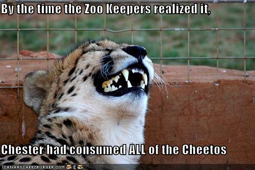 I Can Has Cheezburger?