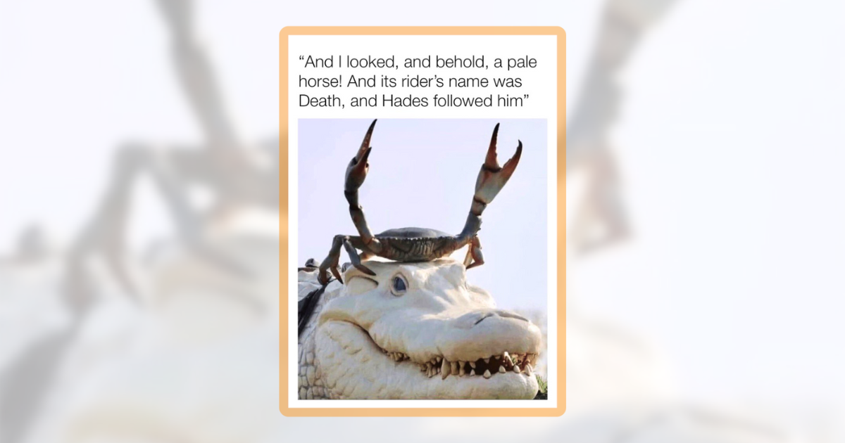 Chaos Collection of 29 Animal Funnies for Feral Folks Who Need a Silly ...