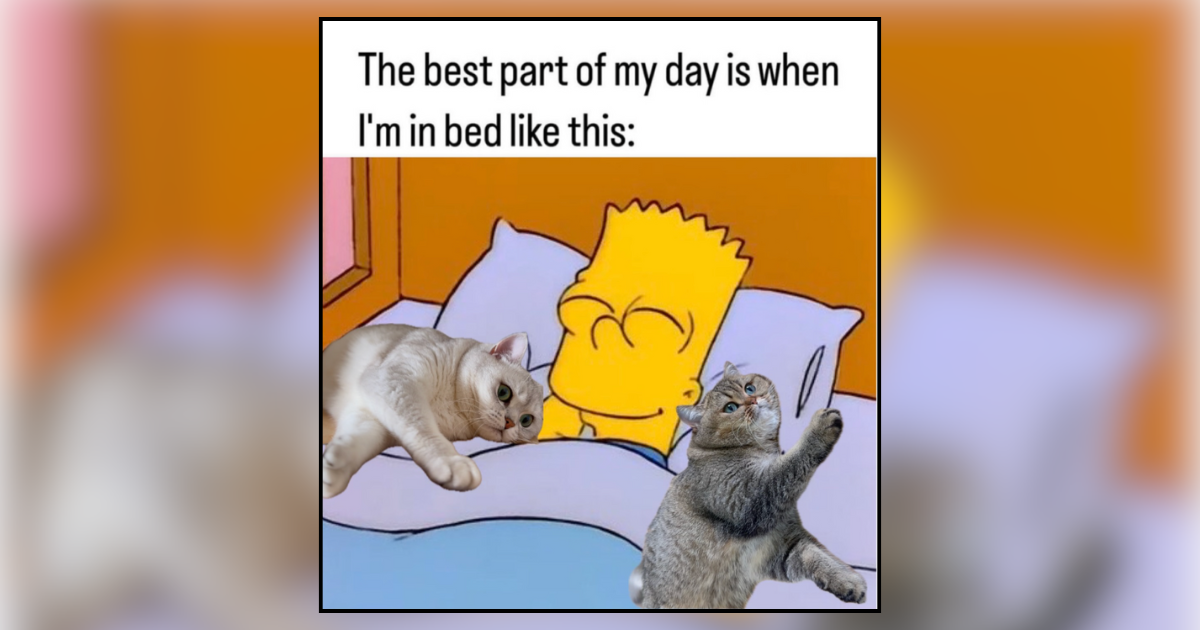 24 Wholesome Memes Celebrating the Perks of Being a Pawrent - I Can Has ...