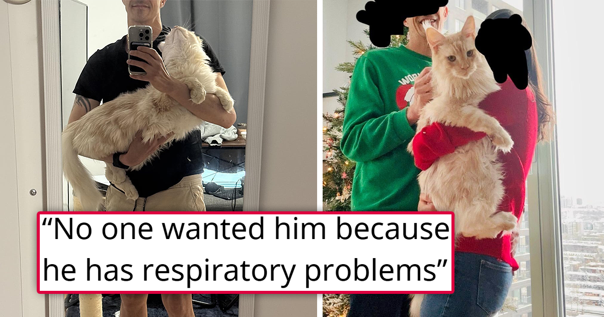 'No one wanted him, so I took him': Man rescues a sick Maine Coon from ...