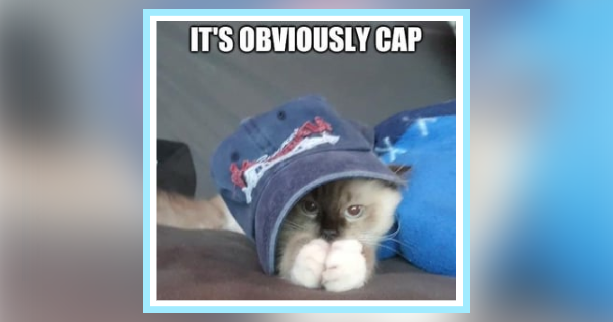 20 Caturday Cat Memes for Hardworking Hoomans Who’ve had Enough of ...