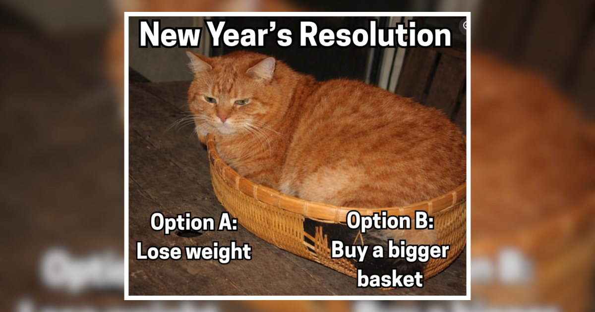 A Bombastic Burst of 2026 Cat Memes Starting Off the Year in Style - I ...