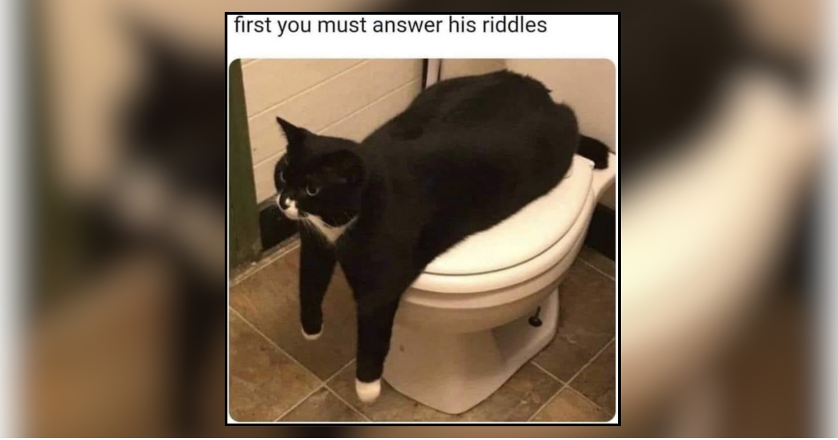 22 Funny Memes for a Feline Good Furiday Scroll - I Can Has Cheezburger?