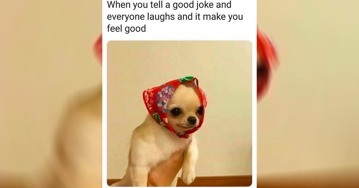 The Best Heartwarmingly Wholesome Memes and Posts of the Week ...