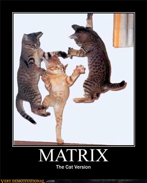 Matrix - Very Demotivational - Demotivational Posters | Very ...