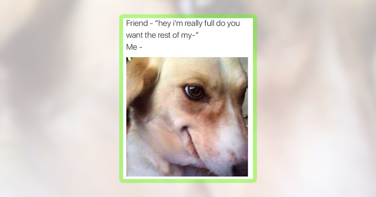 22 Doggo Pawsts for Pawrents Raising a Household of Happy Chaos ...