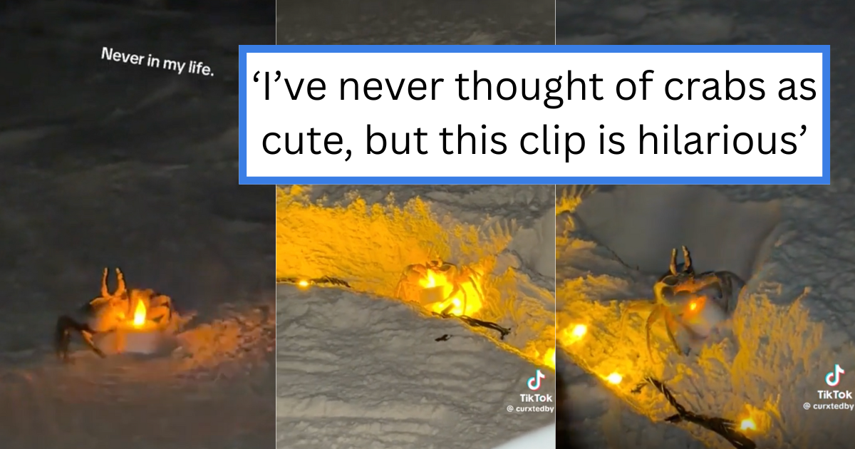 Man sets up romantic candlelight atmosphere for beach date, only for ...