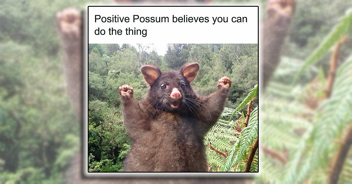 'Happy memes are here again': 25 memes to clear the darks skies above ...