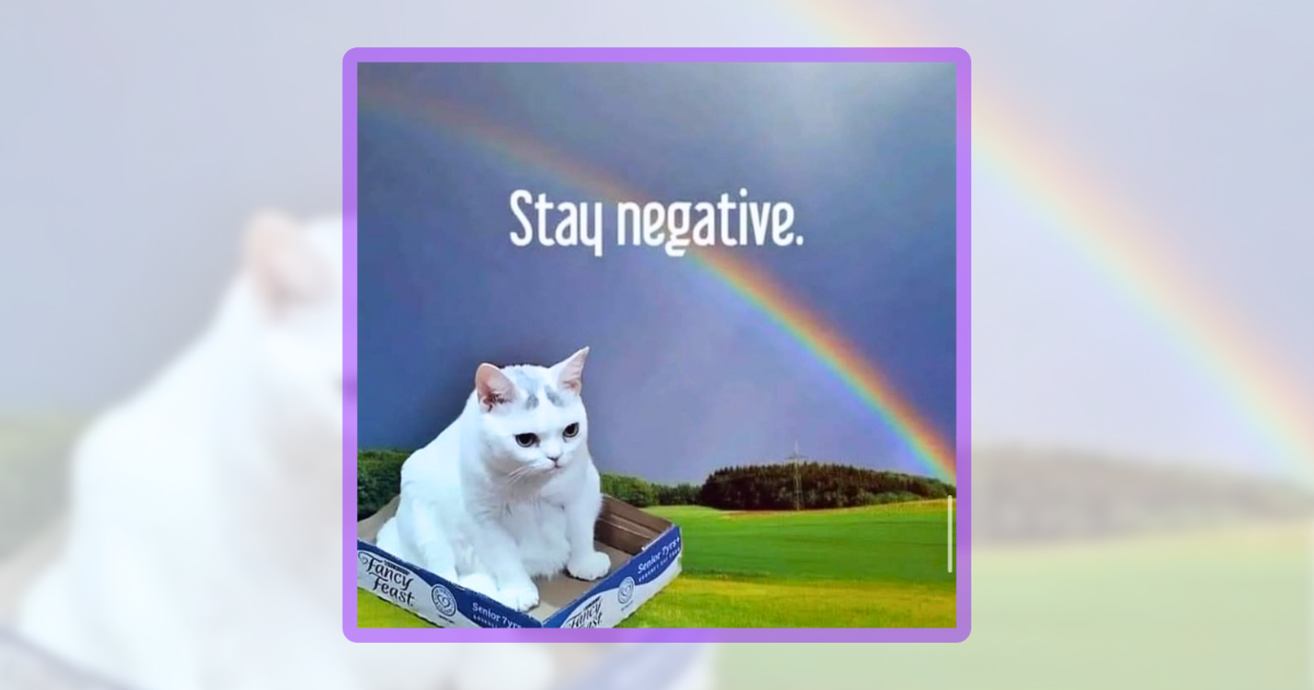 Caturday Medley: 20+ Most Meowrvelous Weekly Cat Memes Collected by ...