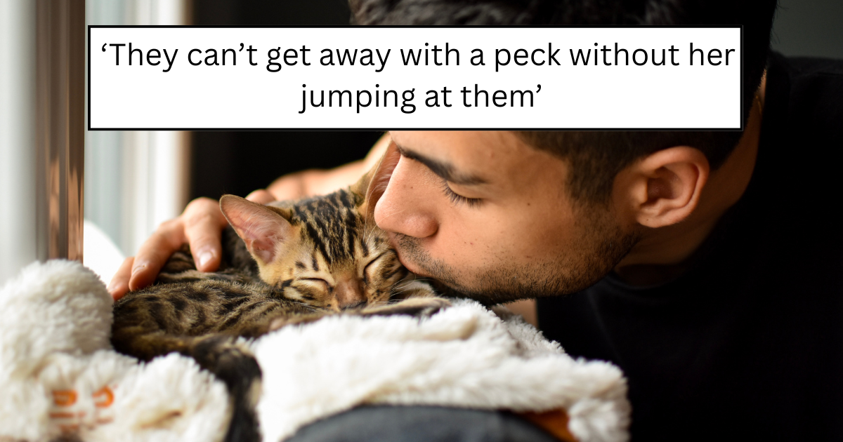 'Somewhere along the road, she learnt the word kiss': Six years of ...