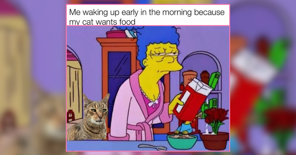 'I'm Just a Cat' Memes For Girlies Who Pay With Lipstick and Catnip - I ...