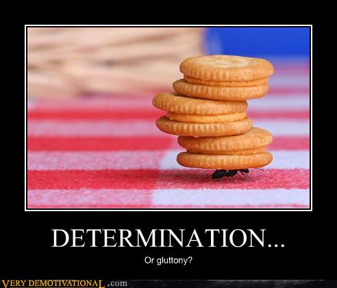 Very Demotivational - determination - Very Demotivational Posters ...