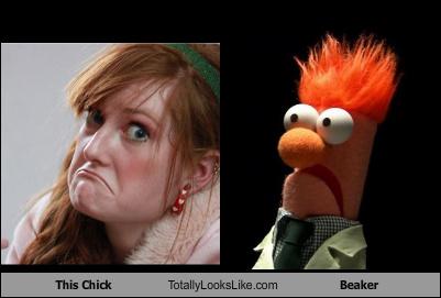 Memebase - the muppets - Page 2 - All Your Memes In Our Base - Funny ...