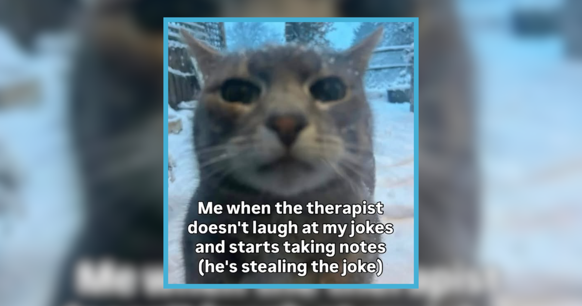 A Furry Frenzy of the Cutest Cat Memes for Feline Pawrents - I Can Has ...