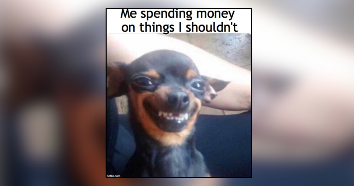 21 Barktastic Memes of Big Spender Doggos Barking Up the Credit Limit ...