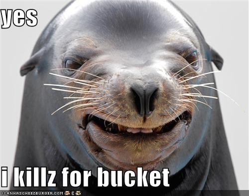 Derp - animals - Page 3 - Derp Face Derps - hurr durr derp face - derp ...