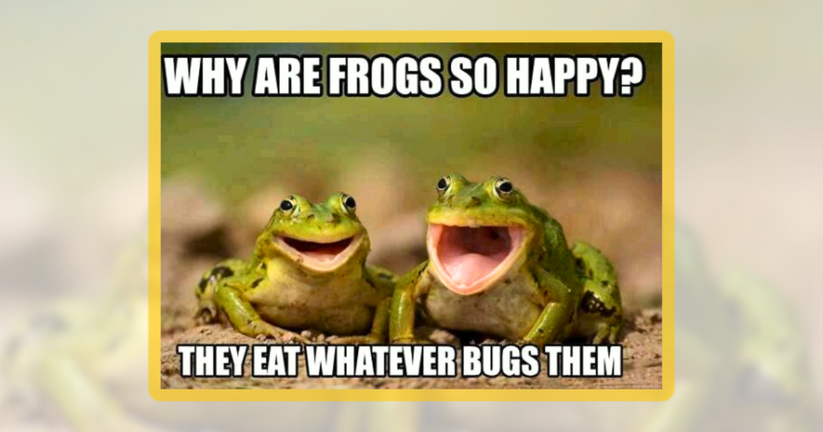 22 Amphibious Antics of Frogs for When You Need a Leap From Boring to ...