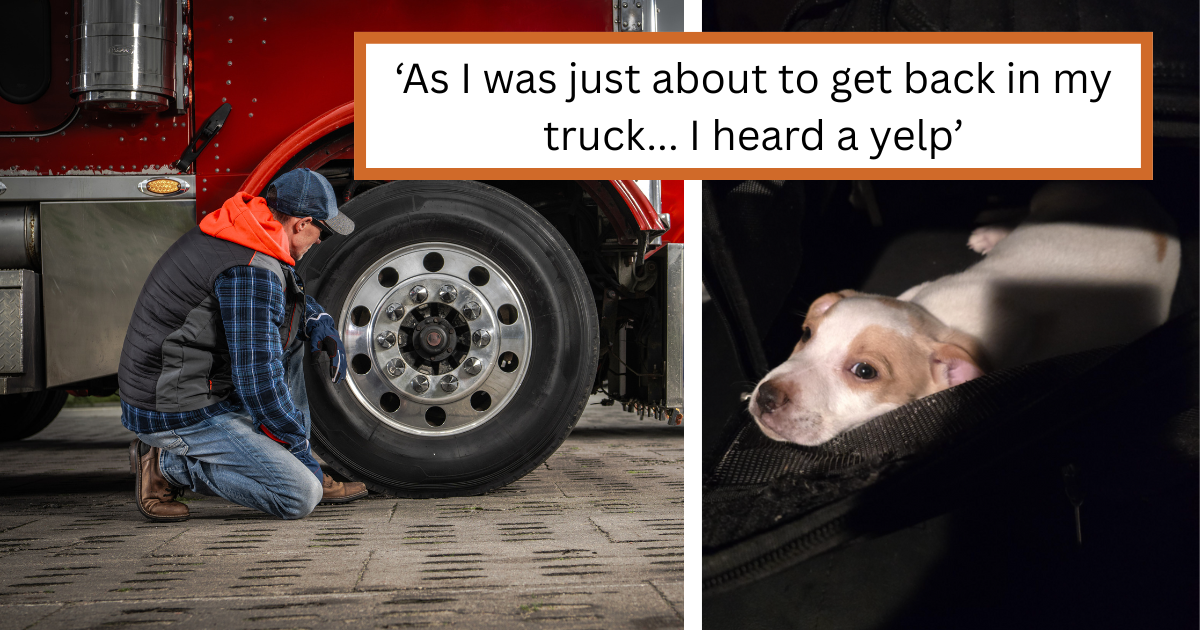 An abandoned puppy discarded in a duffel bag finds hope for a new life ...