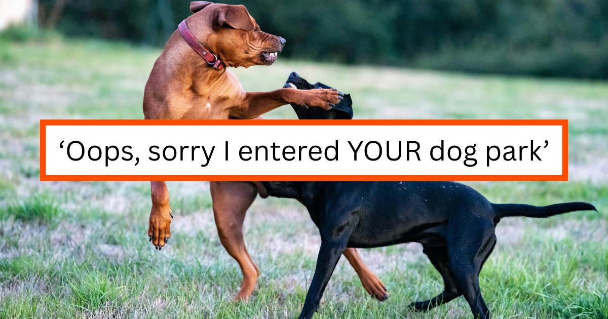 'Is this your private back yard?': Entitled Malinois owner demands ...