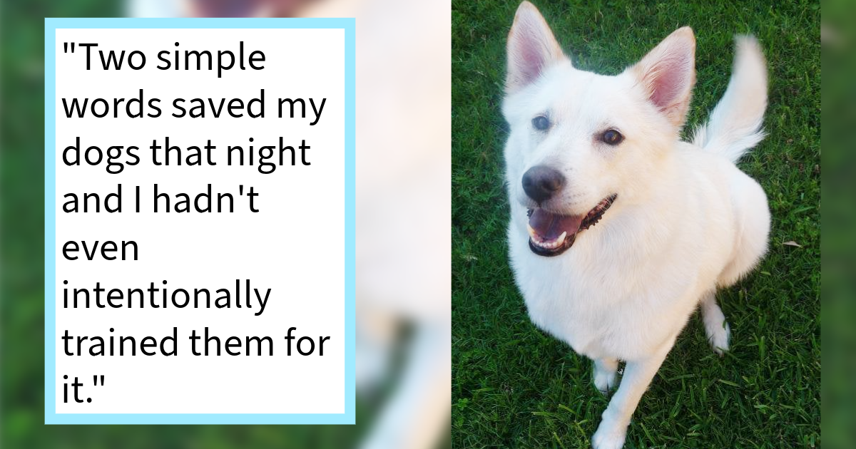 ‘The officers decided it was nothing and went on their way.’: Pawrent’s ...