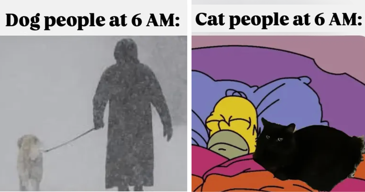 26 Purrfect Memes for Cozy Cat Lovers Who Need a Day Off and a ...