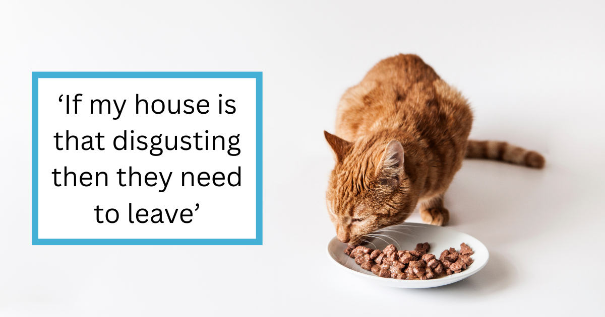 Couple accuses cat pawrent of dirty habits, he kicks them out after ...