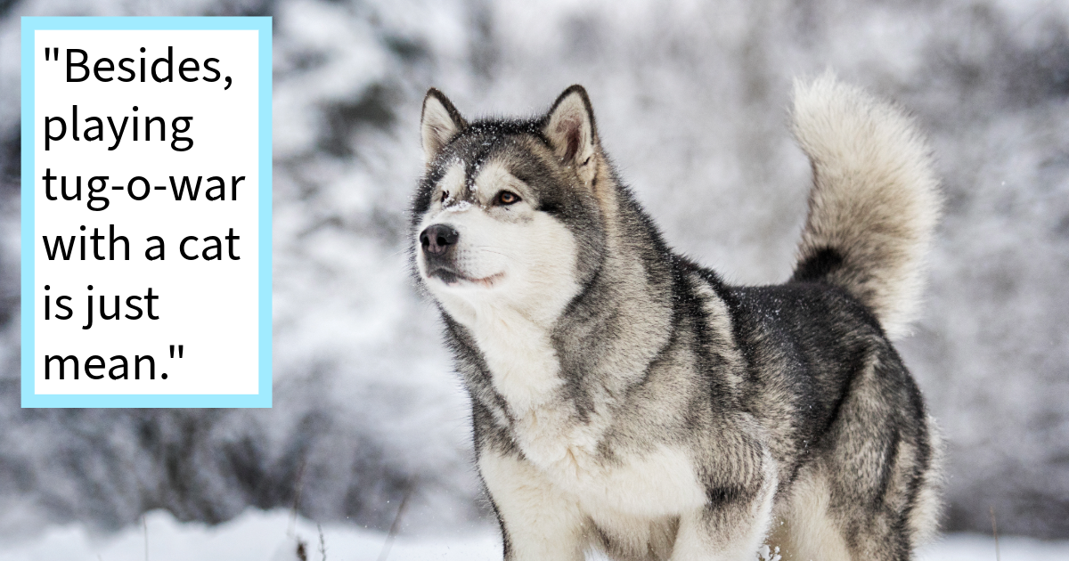 Reluctant pupper pawrent shares the responsibilities and joys of ...