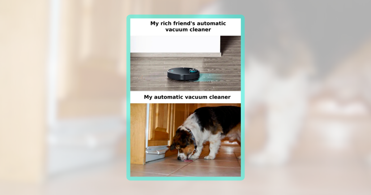 27 Playful Pupper Posts to Gently Kickstart a Lazy Dogturday Morning ...