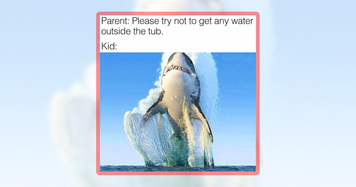 A Silly Saturday Stack of 23 Animal Funnies for Maximum Meme-ified ...
